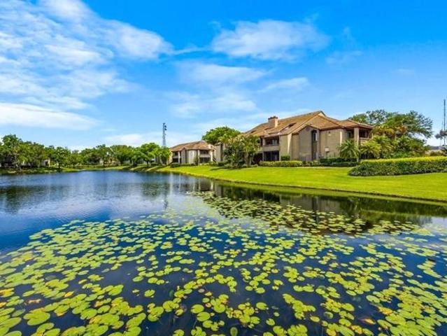 10263 Gandy Blvd N #209, Saint Petersburg, FL 33702