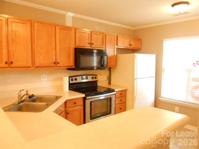 10260 Reindeer Way Ln, Charlotte, NC 28216 | MLS #4361 | Compass