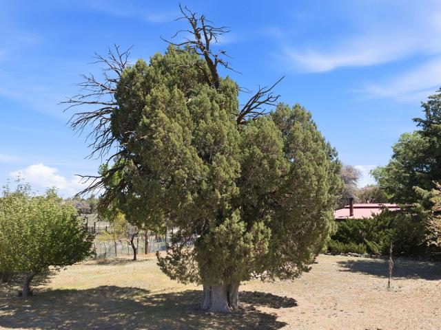 10262 w tough country trail