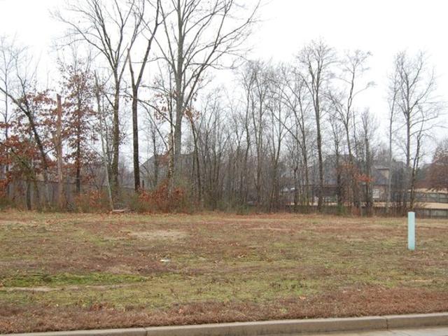 10267 Gray Heron Ln Lot 202, Lakeland, TN 38002