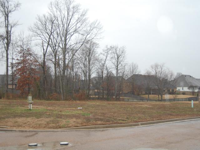 10267 gray heron ln