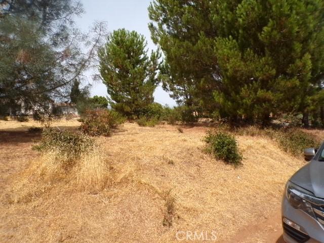 10265 Fairway Drive