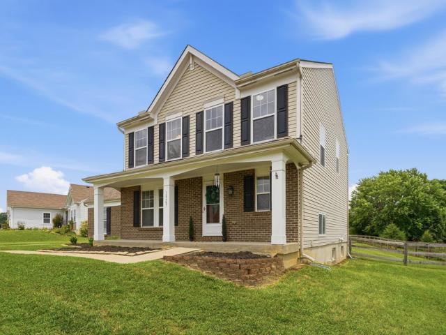 10265 Goldeneye Drive
