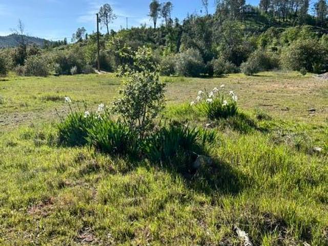 10266 White Star Road