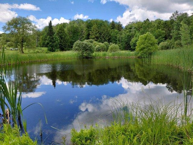 10269 Evans Rd # 13438, Remsen, NY 13438