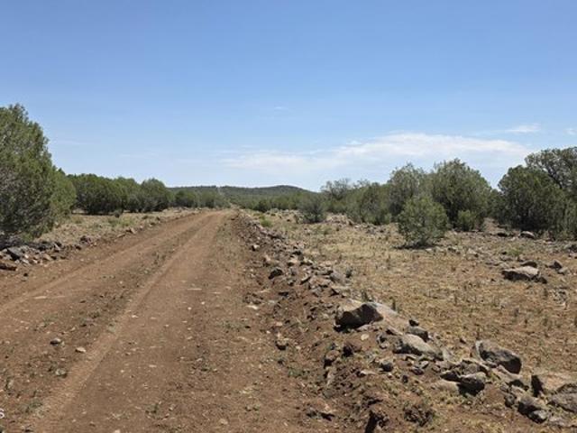 1026 SW Qt Arco Pipeline, Seligman, AZ 86046