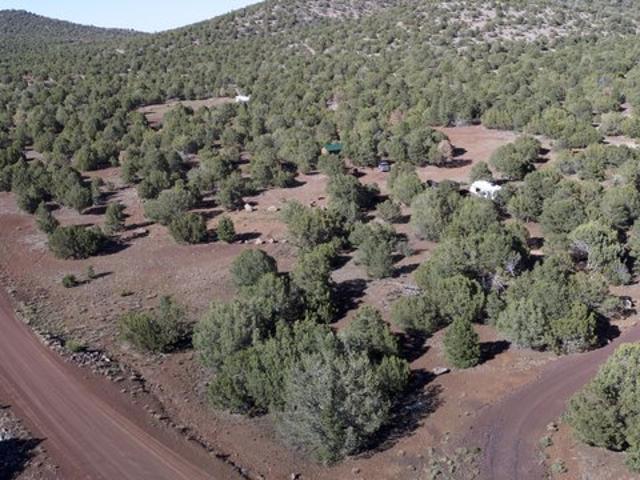 10279 N Overlook Dr, Williams, AZ 86046