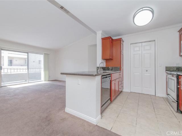 1027 Vista Del Cerro Drive 204