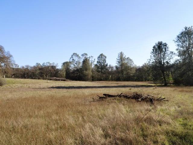 10282 Piney Creek Rd, Coulterville, CA 95311