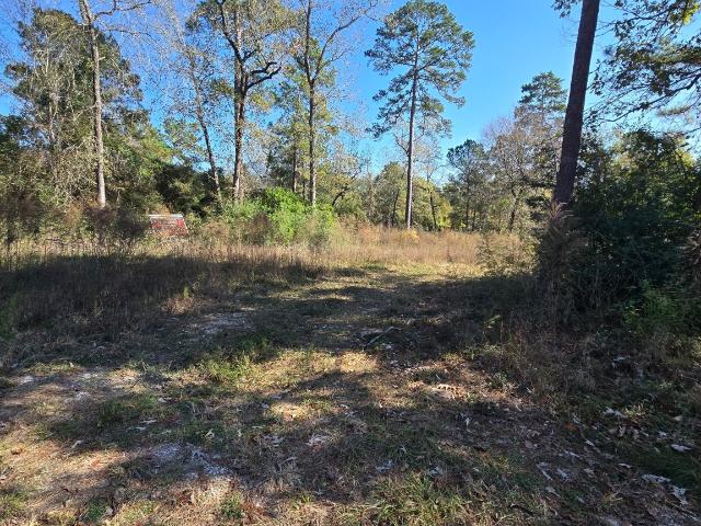 10287 Wanda Lane