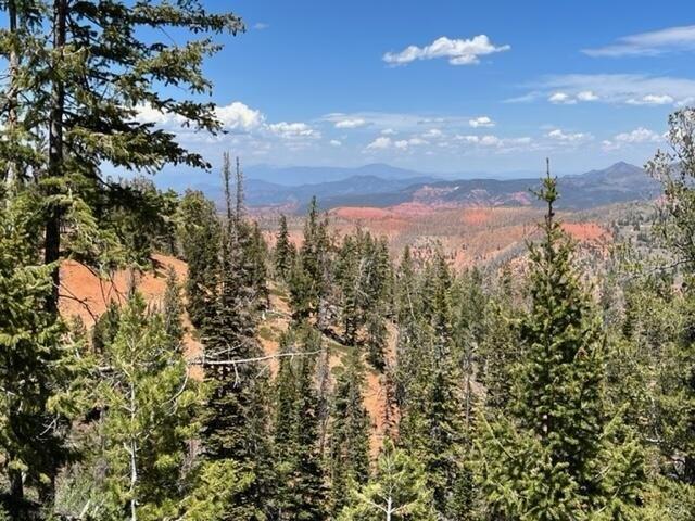1028 N Aspen Dr Lot 13, Brian Head, UT 84719