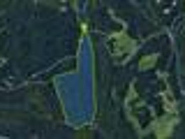 1028 Blanche Fullmer Road