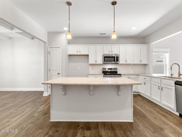 1028 Downrigger Trail