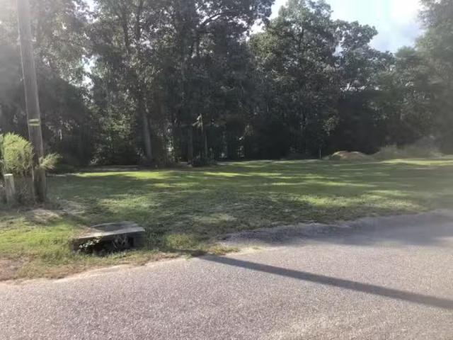 1028 LADDIE DR, SUMMERTON, SC 29148 Vacant Land For Sale MLS#.