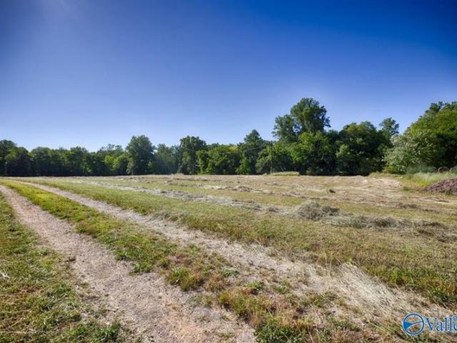 1028 Pettus Rd, Madison, AL 35757