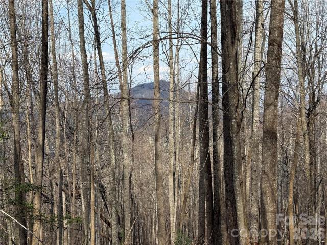 1029 Chippawa Dr, Unit 67, Arden, NC 28704 | MLS #4301