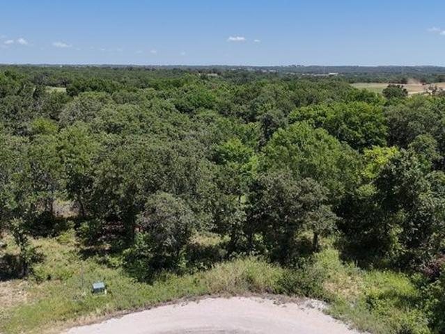 1029 Ironwood Way, Poolville, TX 76487