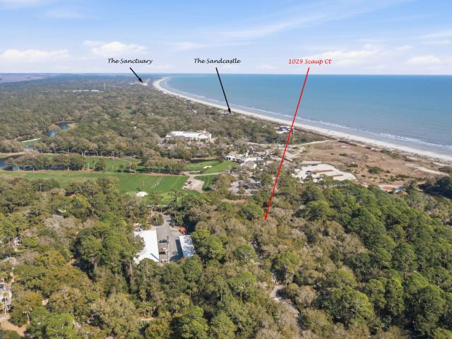1029 Scaup Ct, Kiawah Island, SC 29455 | MLS #26007 | Compass