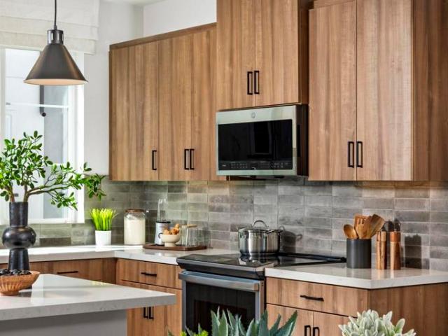 10202 Vista Lusardi unit 2 Lot 2