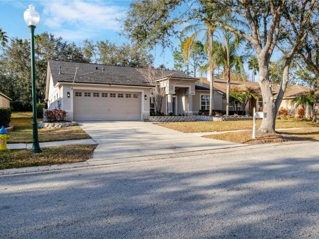 10208 Thicket Point Way, Tampa, FL 33647 | Compass