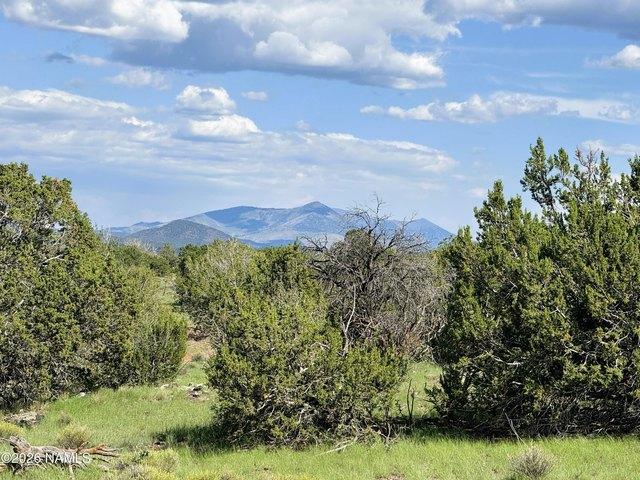10209 S Big Bear Rd, Williams, AZ 86046