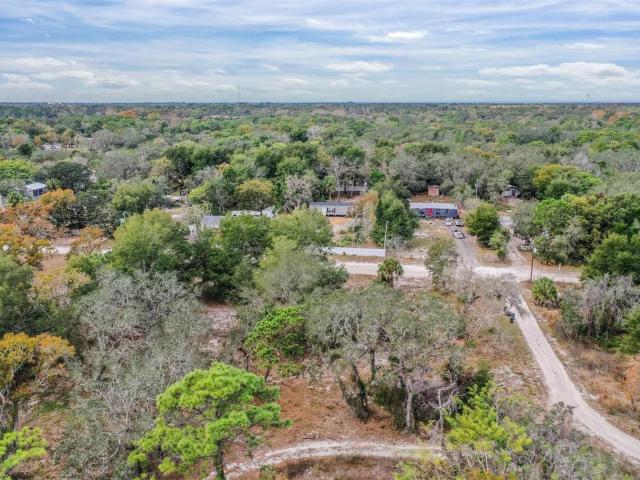 10209 sybil lane, hudson, us, fl