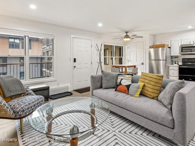 1020 E Durant Ave Apt 203, Aspen, CO 81611