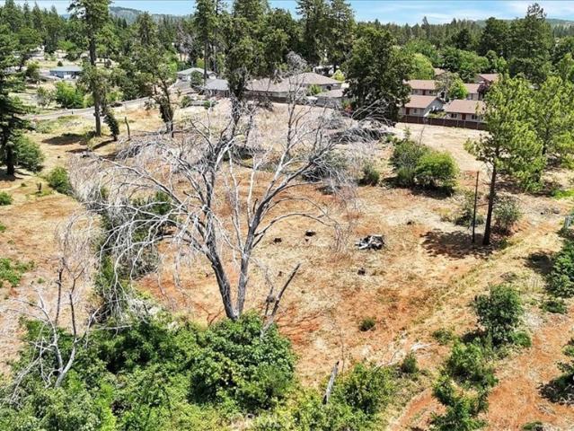 1020 Elliott Rd, Paradise, CA 95969 | MLS #SN25136