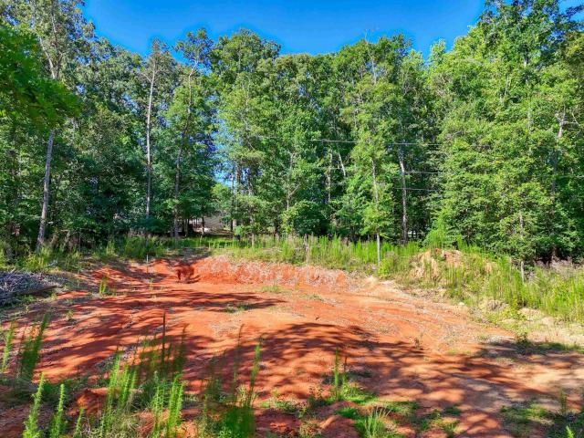 1020 Green Willow Trail