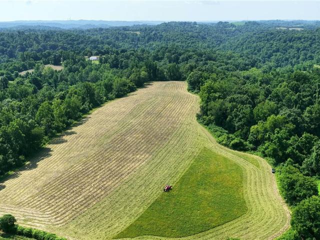 1020 Killwell Run Road