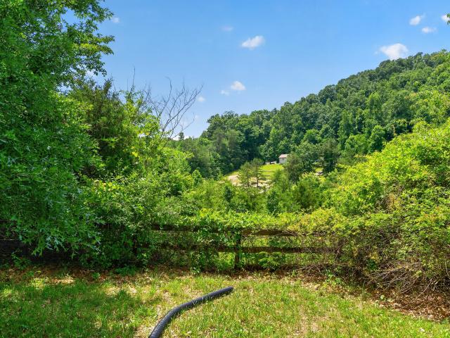 1020 S Dogwood Drive