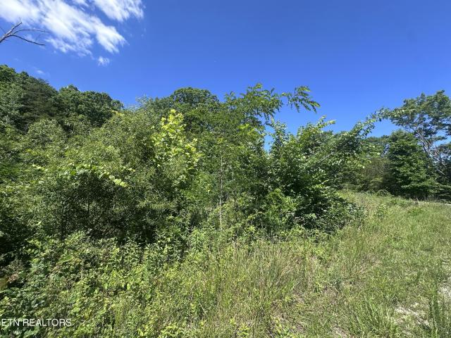 1020 Tomahawk Rd