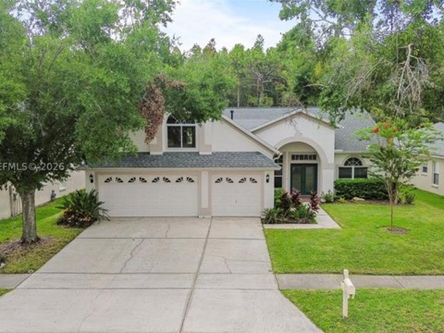 10217 Timberland Point Dr, Tampa, FL 33647