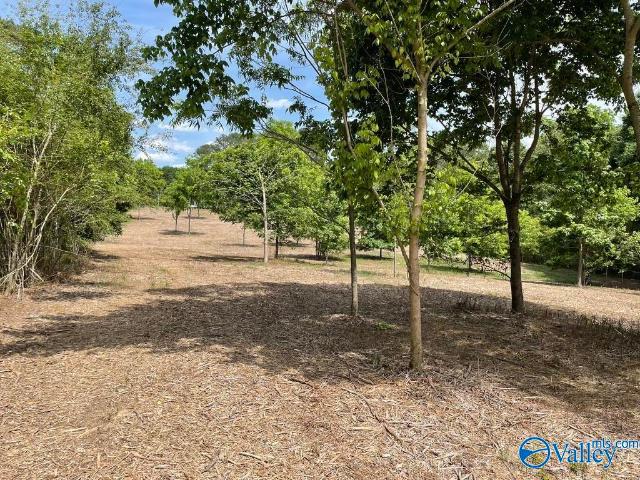 1021 County Road 1242