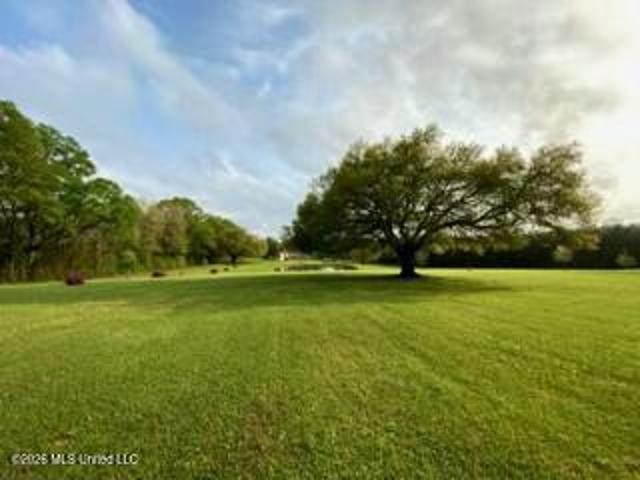 1021 Elarton Rd, Osyka, MS 39657 | MLS #4141 | Compass