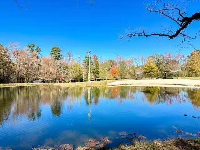 1021 Firefly Lane, Summit, MS 39666 654908049