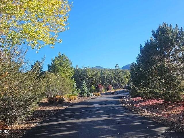 1021 stone hollow loop # 2