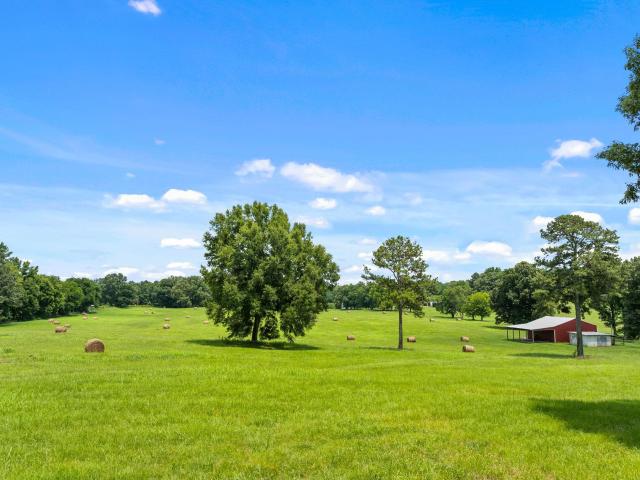 1021 Wallace Looney Rd