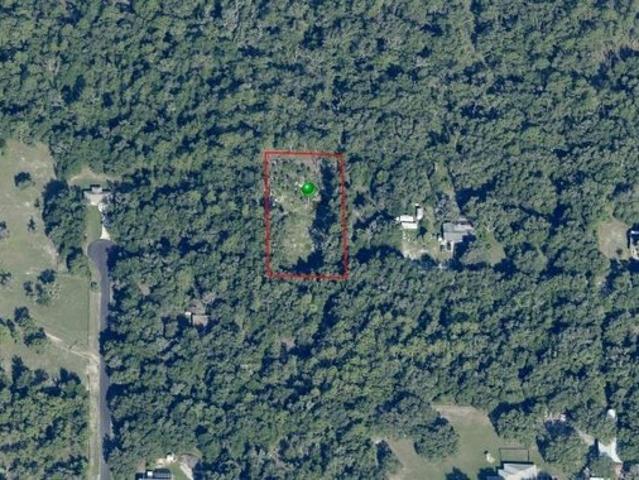 10228 N Burgundy Pt, Dunnellon, FL 34433