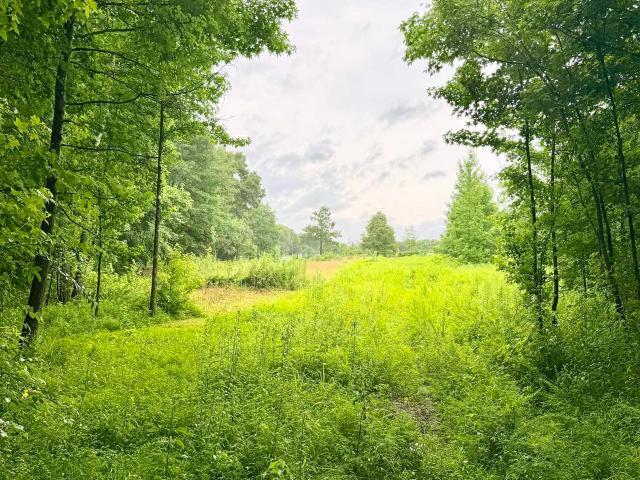 1022 Co Rd 545