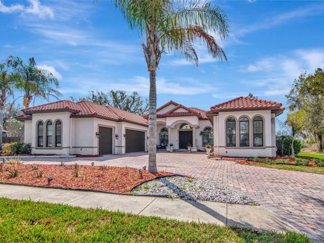1022 emerald creek drive, valrico, us, fl
