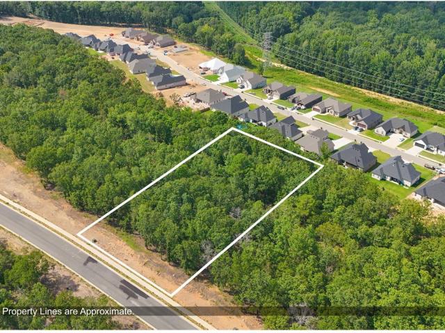 1022 Fern Ridge Rd Lot 11