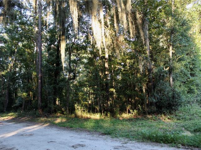 1022 Wallace Dr N E, Townsend, GA 31331 | MLS #1660 | Compass