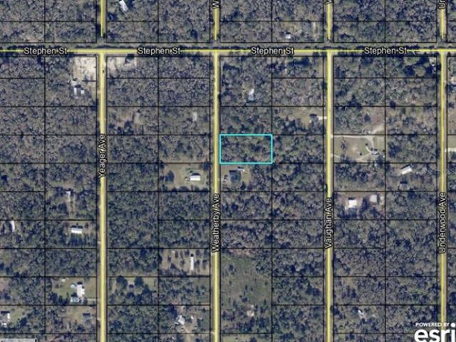 10230 Weatherby Ave, Hastings, FL 32145