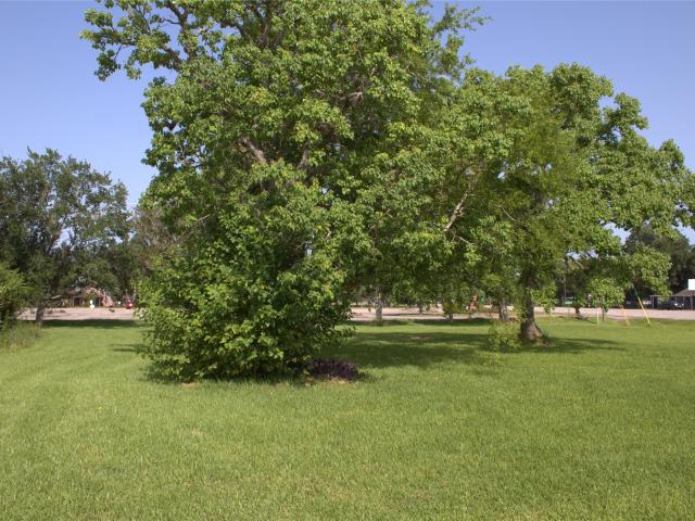 10230 Highway 6, Hitchcock, TX 77563 | MLS #2208 | Compass