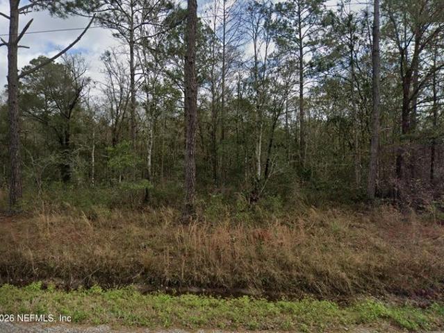 10230 Nikolich Ave, Hastings, FL 32145