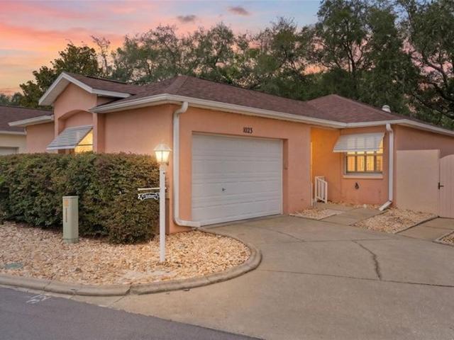 1023 Avalon Ave, Lady Lake, FL 32159