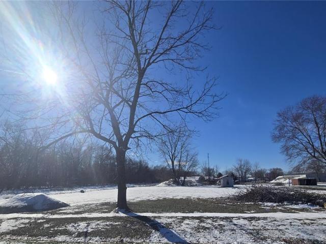 102 3rd St, Coffeen, IL 62017 | MLS #25081