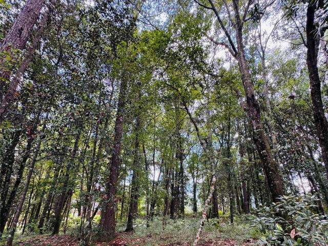102 & 104 High Bluff Drive