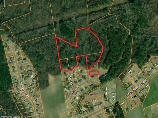 102 Colt Ct, Pikeville, NC 27863